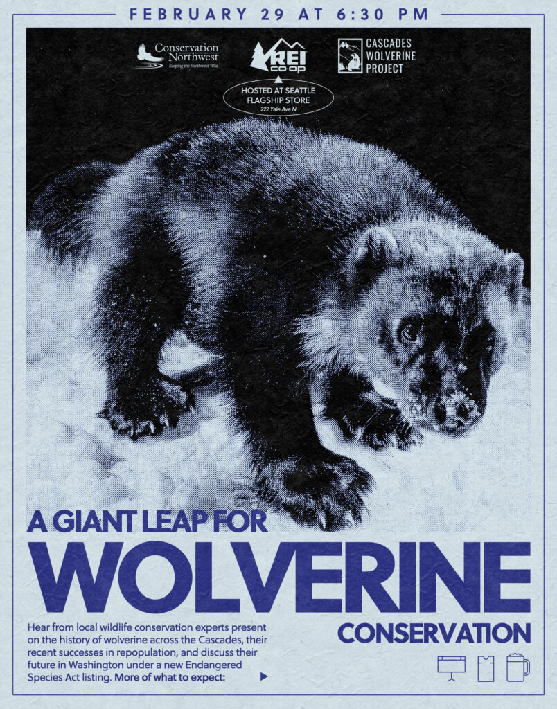 Cascades Wolverine Project